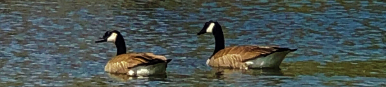 Outboard Motor Cave | eBay Stores