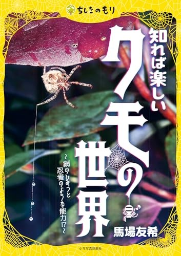 The fun world of spiders The secret of the spider web and ninja-like ...