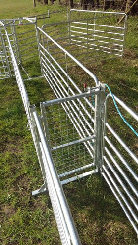 Sheep/lamb, Hurdle, Swing gate in frame, Sheep Back Gate, Race gate ...