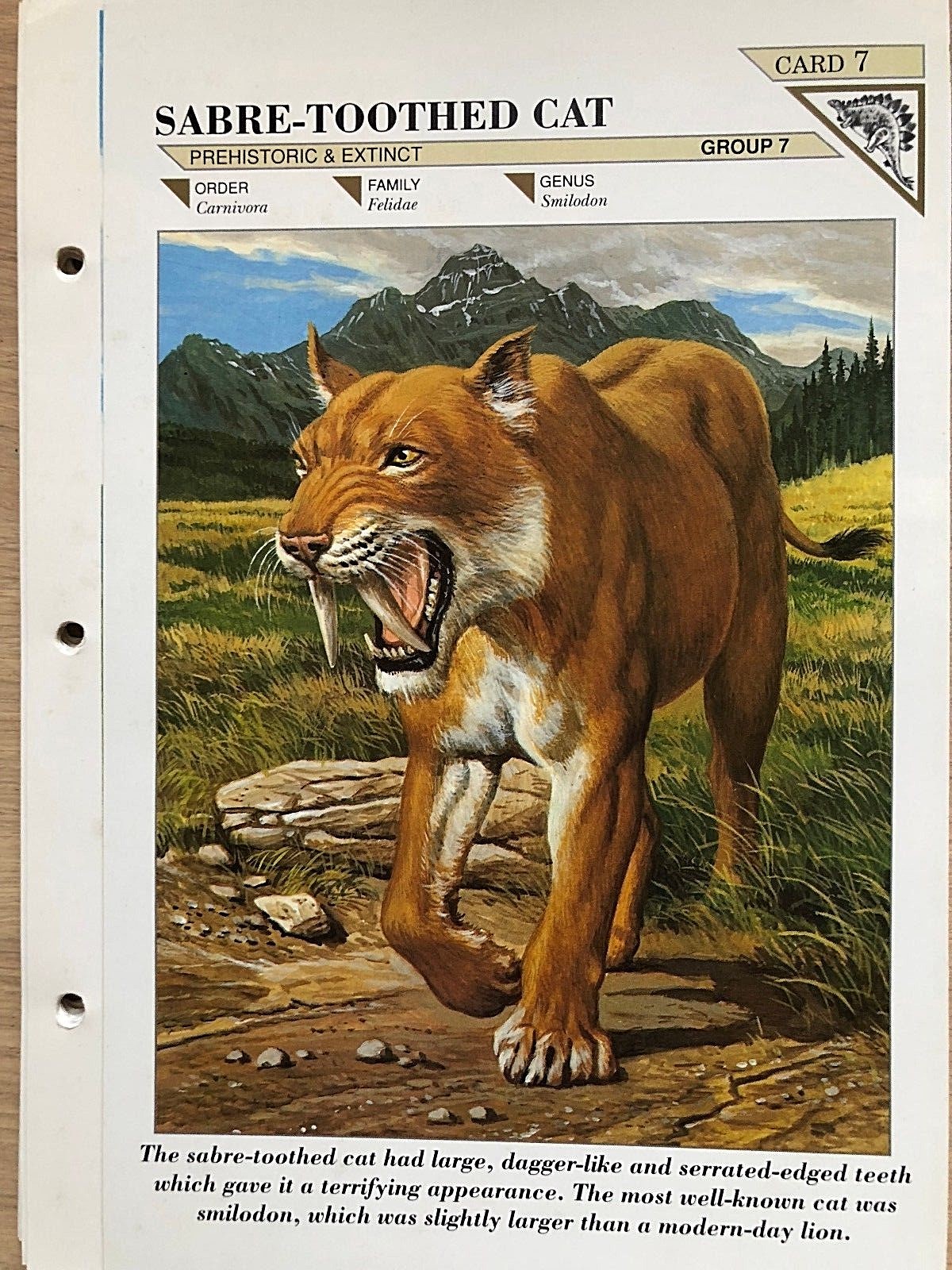 Wildlife-Fact-File-Extinct Animals-Wild Animals-School-Nature-From 1 to ...