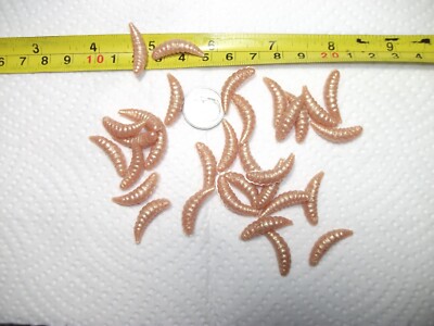 100-7/8"-crappie-panfish-scent-grubs-soft plastic wax worms-jigs ...