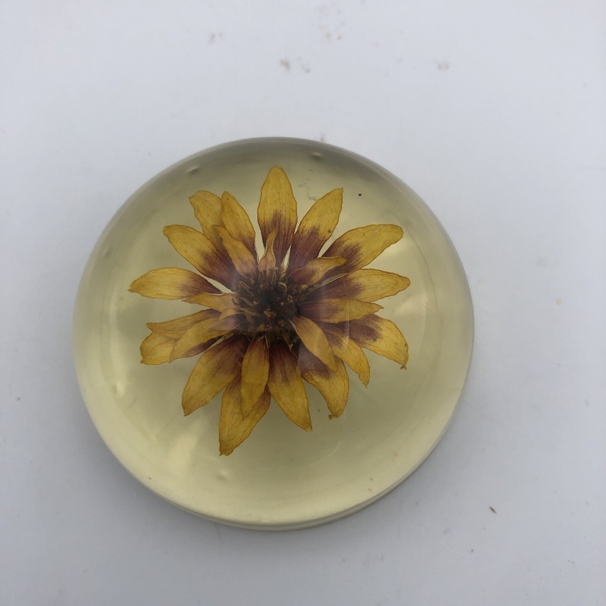 Dried Flower Paperweight | Best Flower Site