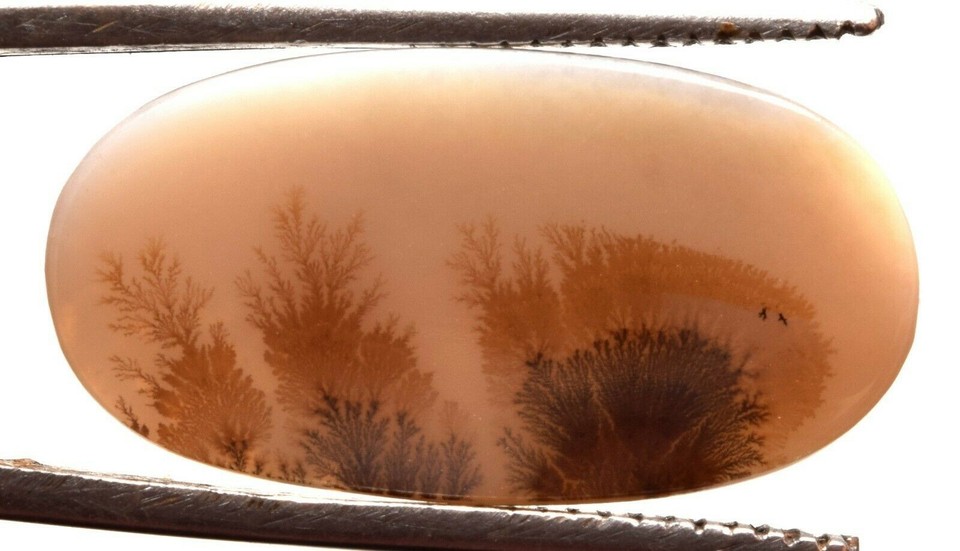 29.80*15.50 mm Natural Dendritic Agate Unique Piece Certified Gemstone ...