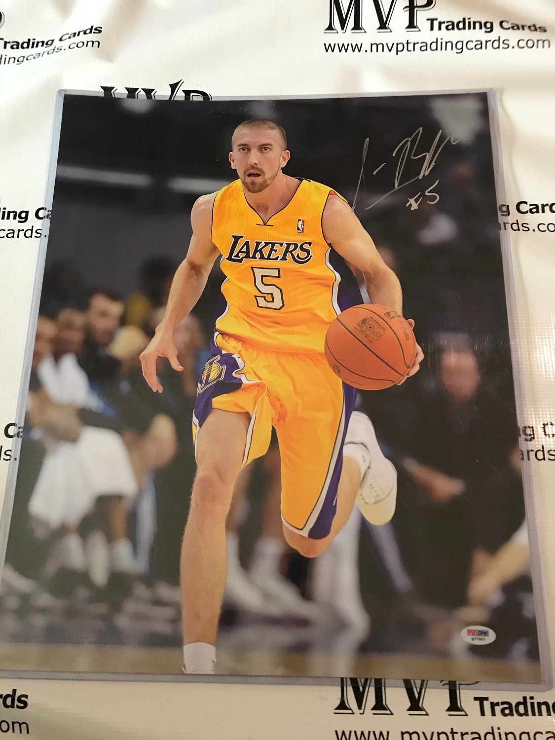 STEVE BLAKE Autograph 16x20 Los Angeles Lakers Photo PSA/DNA COA | eBay