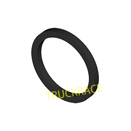 QTY 6 3909356 O-RING - INJECTOR DUST SEAL FOR '94-'98 5.9L 12V DODGE ...