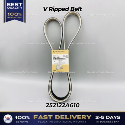 ⭐Genuine⭐ V Ripped Belt 252122A610 for Hyundai Accent Kia Carens | eBay