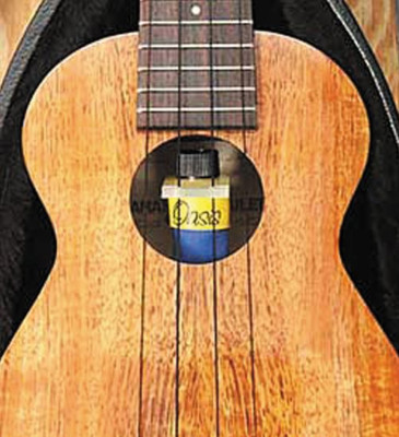 Oasis OH-18 Ukulele Humidifier Ukulele Humidifier, New! | eBay