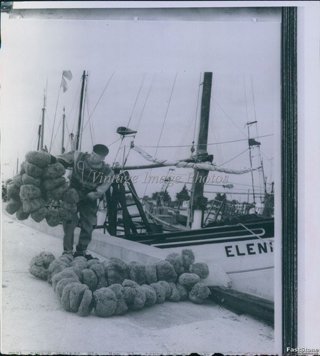 1970 Tarpon Springs Fotis Lekakis Sponge Diver 7X7 Historic Vintage ...