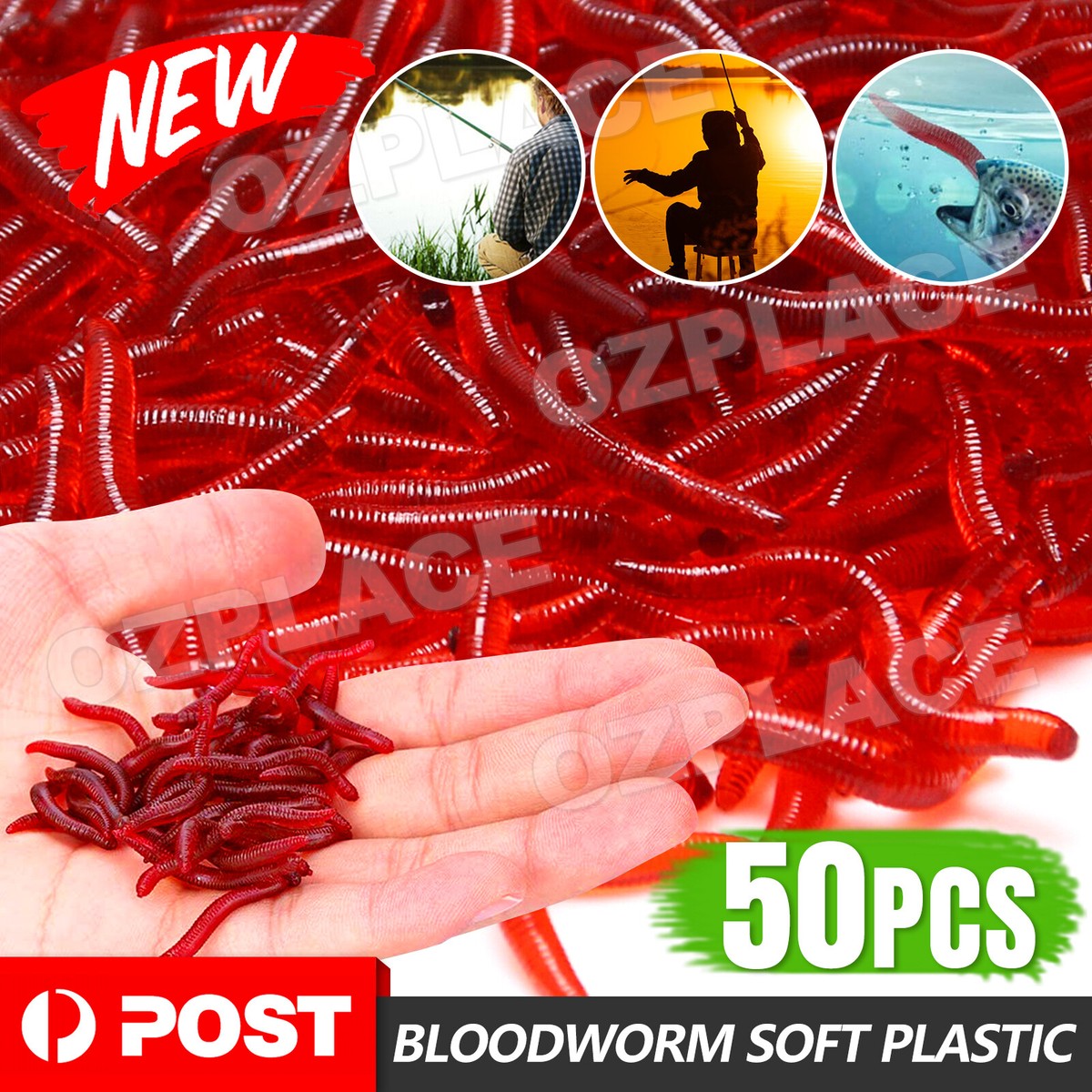 Bloodworms