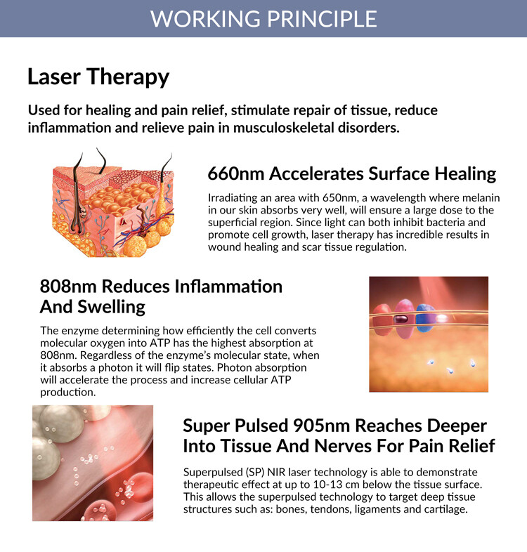 25W Super Pulsed Laser Therapy Device 660nm+808nm+905nm Therapy Animals ...