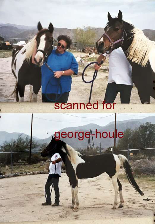 RORY CALHOUN - LETTER - ON HIS DEATH - SMOKE - SUE RHODES | eBay