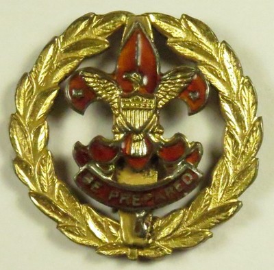 Assistant Scout Executive 1921-1953 Boy Scout Pin (PIN4878) | eBay