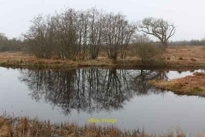 Photo 12x8 Reflections in the Wildlife Pond Challoch c2015 | eBay UK