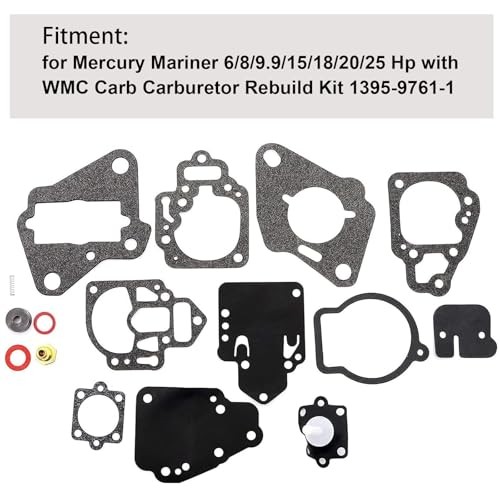 Carburetor Rebuild Kit for Mercury 6-25 HP 2cyl #1395-9761 1395-9725 | eBay