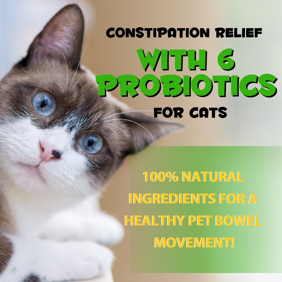 Cat Constipation Relief, Constipation Relief for Cat, Cat Laxative ...
