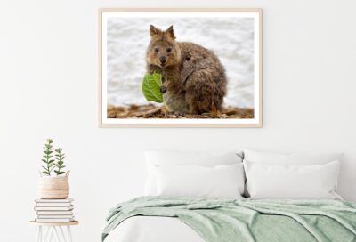 Happy Quokka Print Premium Poster High Quality choose sizes | eBay ...