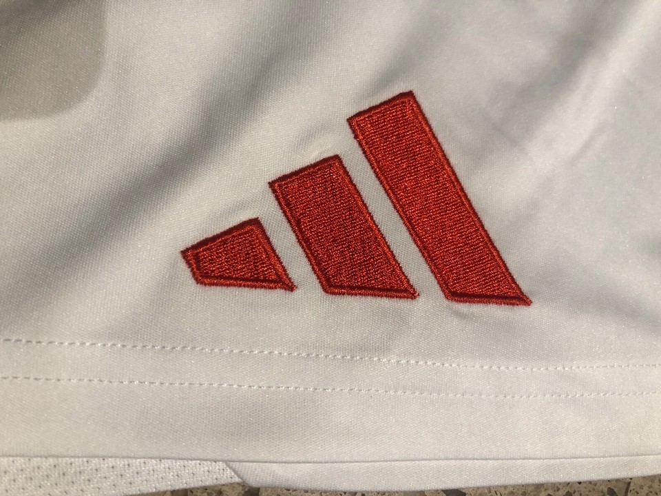 SL Benfica SLB Adidas 24/25 Home Soccer Football Shorts NWT IT6474 ...