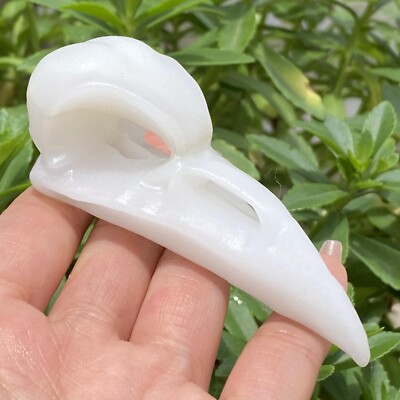 1pc Natural White jade Crow Skull Quartz Crystal Skull Carved Figurines ...