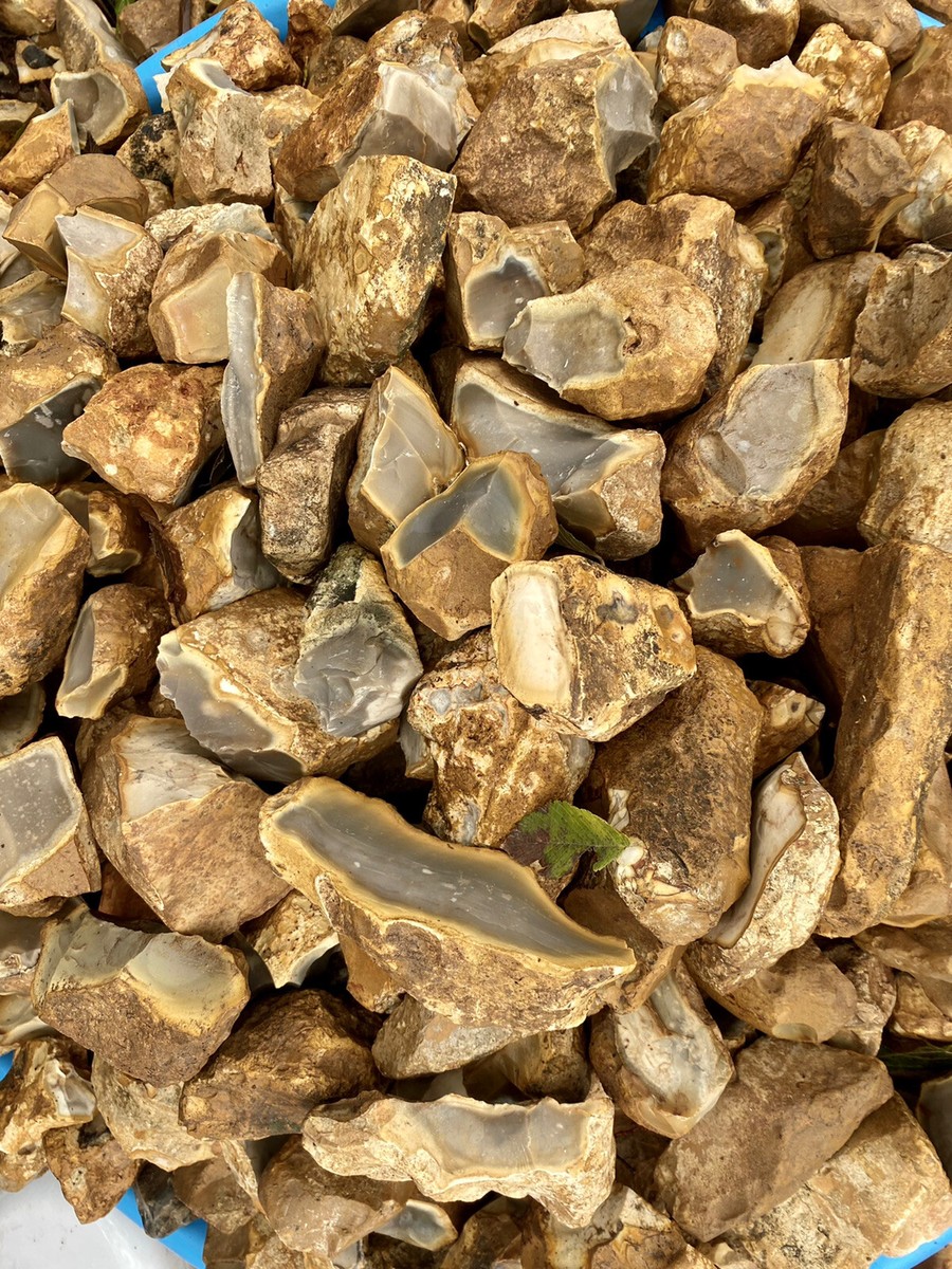 Chert Flint Rocks 8+ Lbs Central Texas Edwards Plateau Chert/Flint Rock ...
