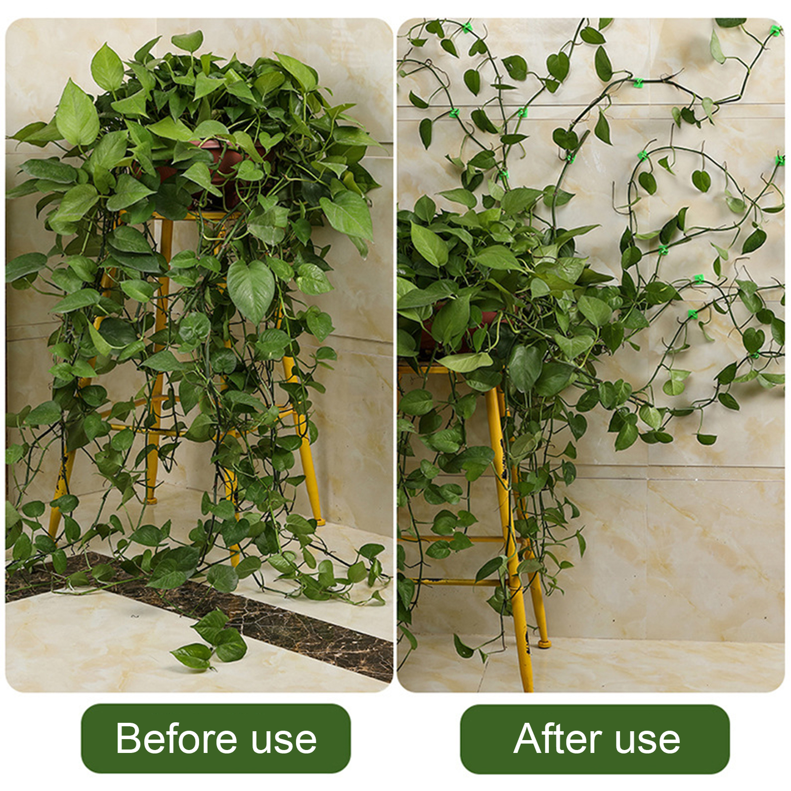 Garden Plant Support System Sturdy Clips Green for Climbing Vines ...