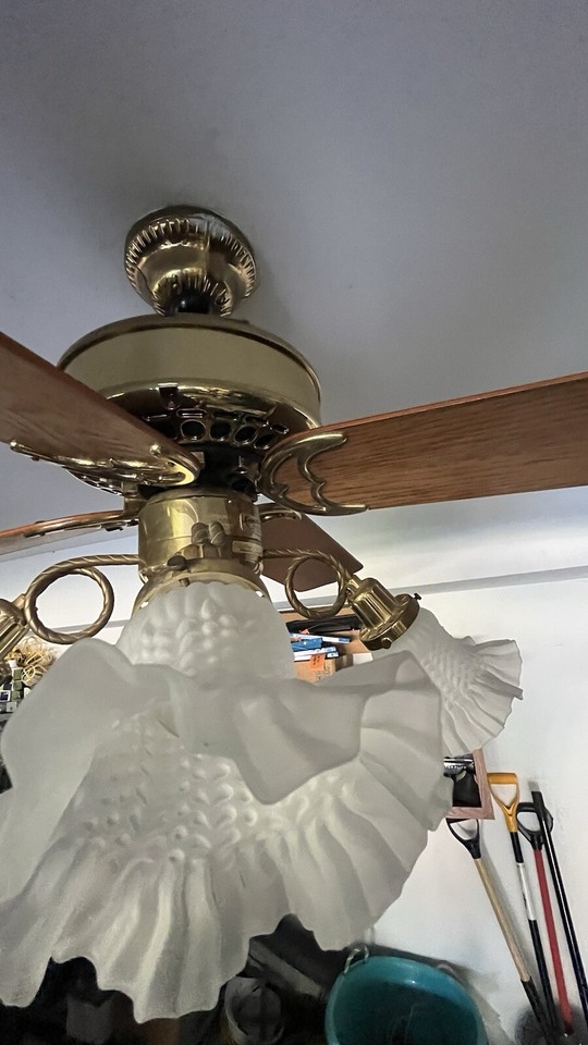 Casablanca Four Seasons Ceiling Fan 4222T With 48” Blade Span “Flick ...
