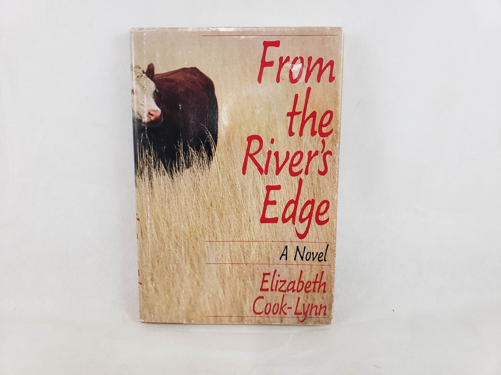 From the River's Edge by Elizabeth Cook-Lynn 9781559700511 | eBay