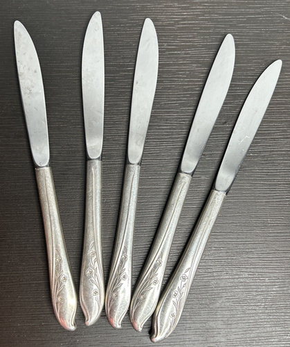 1847 Rogers Bros Vtg Springtime 5 Piece Silverware Dinner Knife Set ...