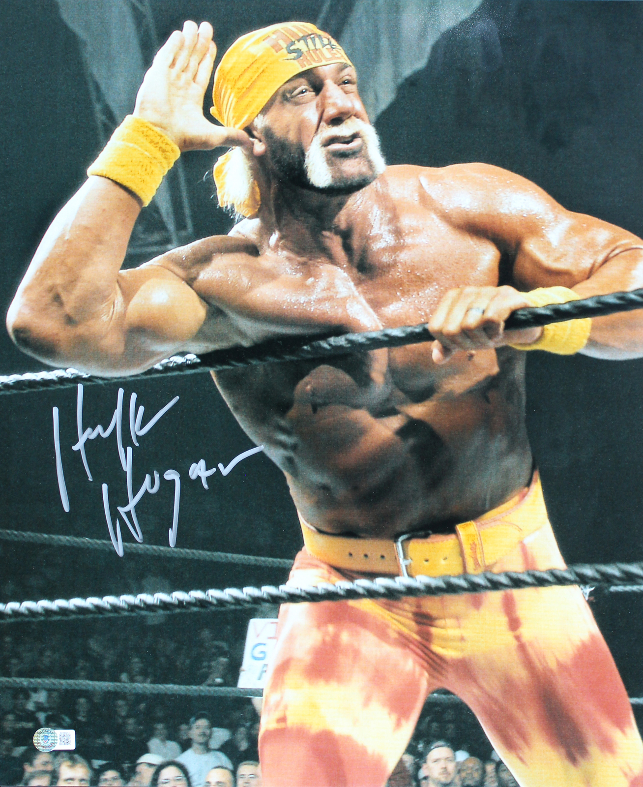 Hulk Hogan Authentic Signed 16x20 Vertical Close Up Photo Autographed ...