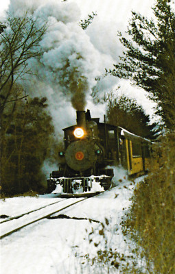 EDAVILLE - Narrow Guage # 7 on an excursion trip | eBay