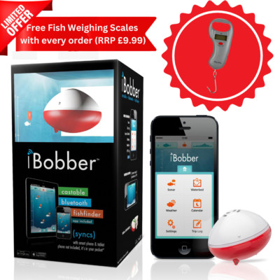 iBobber Castable Bluetooth Smart Fish Finder - Carp and Night Fishing ...
