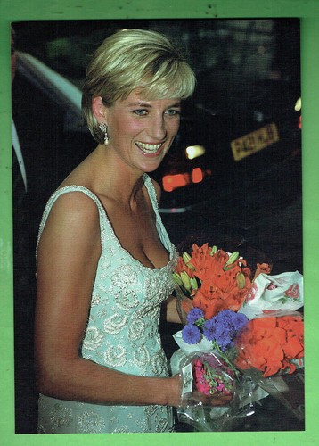 #T91. 1998 THE DAILY TELEGRAPH PRINCESS DIANA PORTRAIT, NO. 2 | eBay