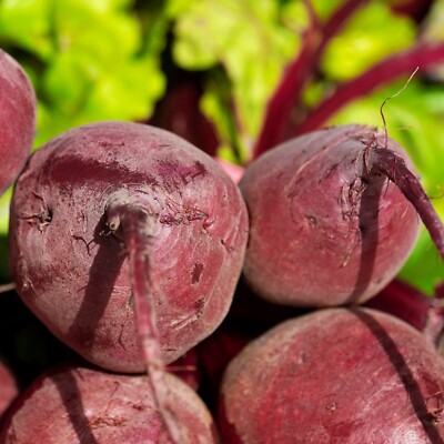 Beet Detroit Dark Red Seeds, Sweet Roots, Non-GMO, Free Shipping | eBay