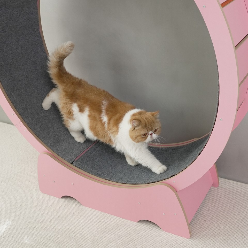 41" Large Cat Exercise Wheel Wooden Cat Treadmill Running Wheel Cat ...