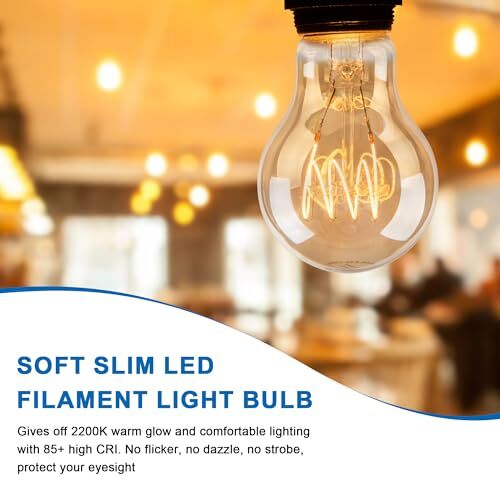 Vintage LED Edison Light Bulbs, A19 4W Dimmable Edison 4 Pack 2200k ...