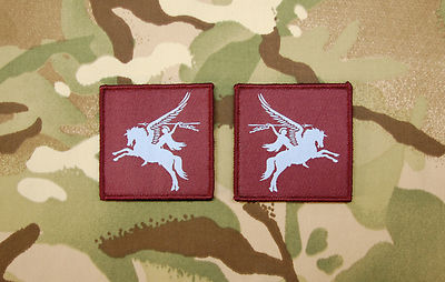 16 Air Assault Brigade Tactical Recognition Flash TRF Drop Zone DZ ...