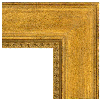 Traditional Gold Frame 16X20 | eBay