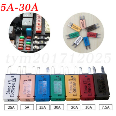 Other - Mini Circuit