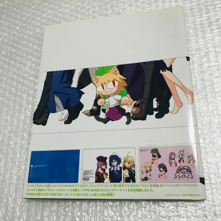 TYPE-MOON CONCEPT Type Moon Sky Boundary Fate Tsukihime Illustration Collection | eBay