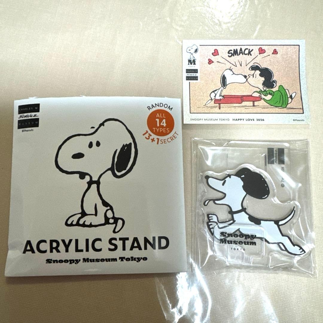 Snoopy Museum Acrylic Stand | eBay UK