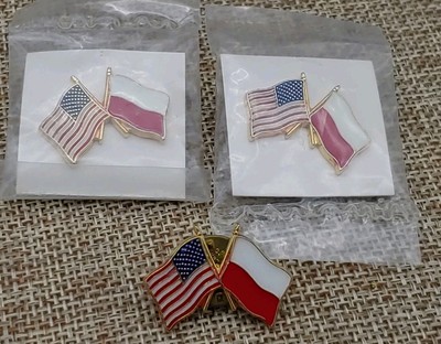 USA and Poland Crossed Friendship Flag Lapel Pin American Flag Unity ...