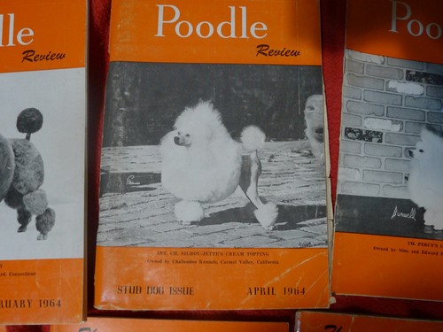 LOT OF 7 THE POODLE REVIEW MAGAZINE 1964 | eBay