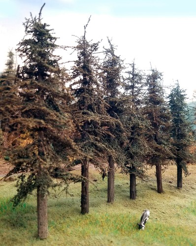 Model Fir Trees, 7 in tall, SIX, ALL WOOD Handmade USA, HO-N-O-S scales ...