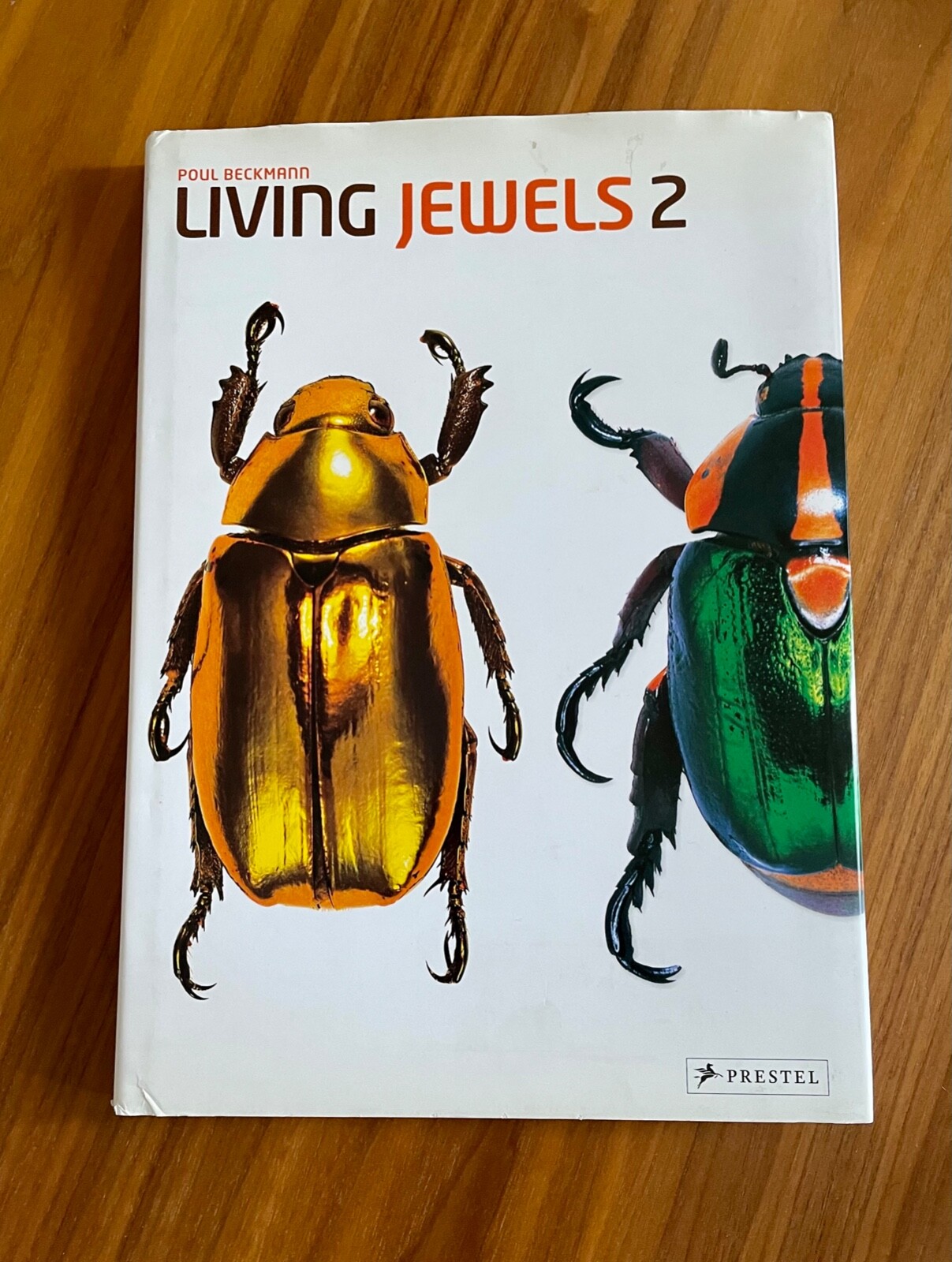 Living Jewels 2 : The Magical Design of Beetles by Paul Beckmann HC | eBay