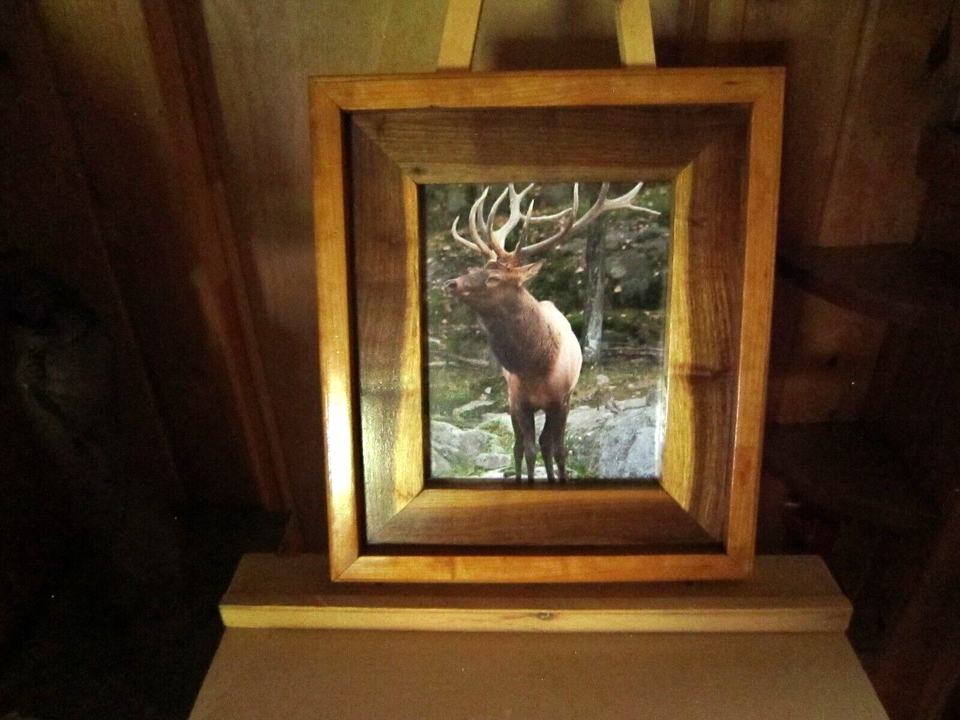 Adirondack style Rustic Picture Frame. New price !!! | eBay