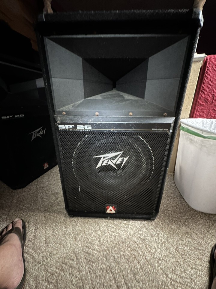 Peavey Speakers 15 pair SP 2G $700 local Pick Up Only. Made In USA | eBay