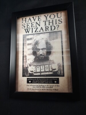 Harry Potter Have You Seen This Wizard? Framed 3-D Wall Plaque ...