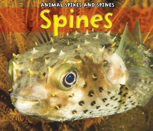 Spines (Animal Spikes and Spines) - Paperback By Rissman, Rebecca ...