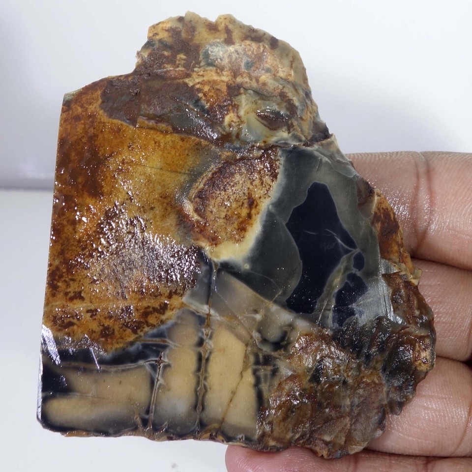 302.20 CT UTAH PICASSO MARBLE specimens/rock/jasper/agate/mineral/cab ...
