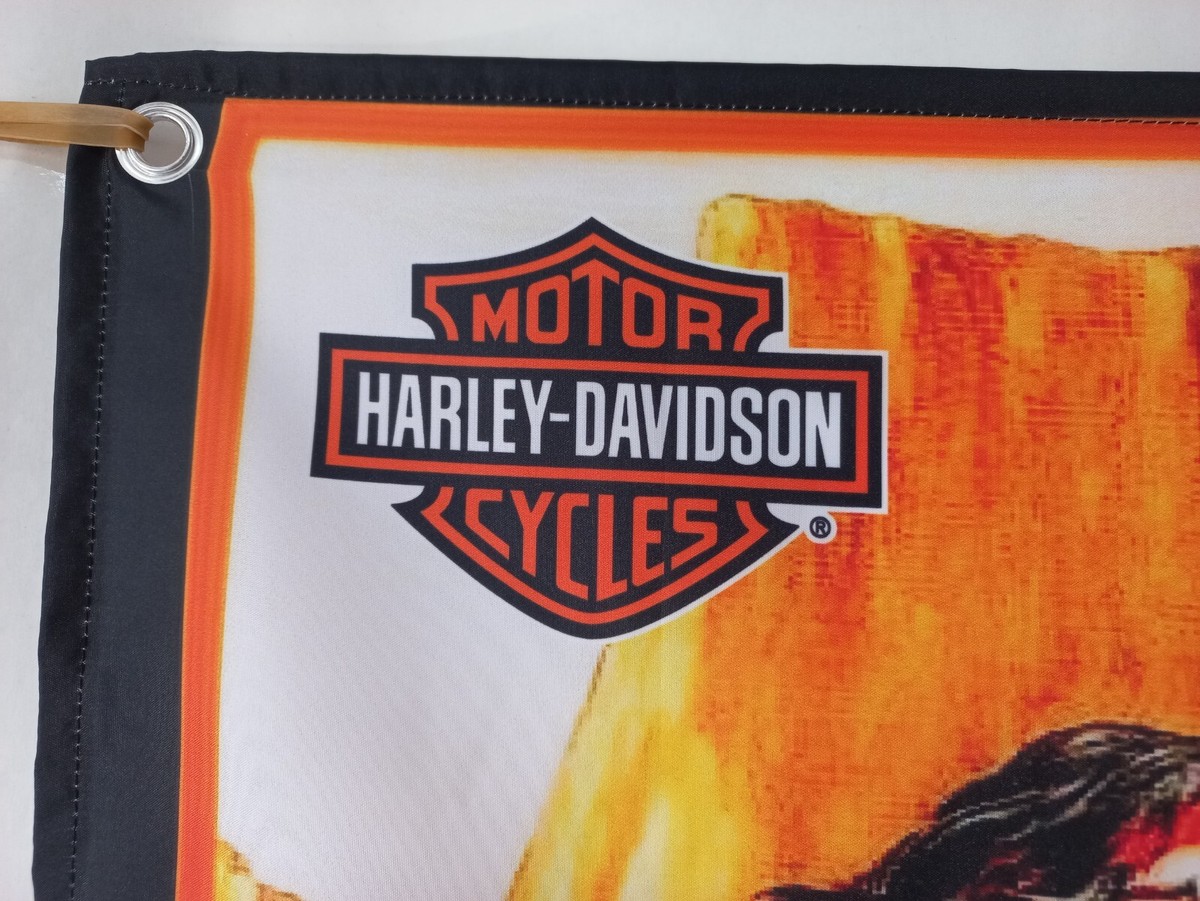 Vintage Harley Davidson Logo Flag
