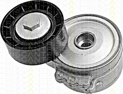 TRISCAN V-Ribbed Belt Tensioner Lever For PEUGEOT CITROEN FIAT SUZUKI ...